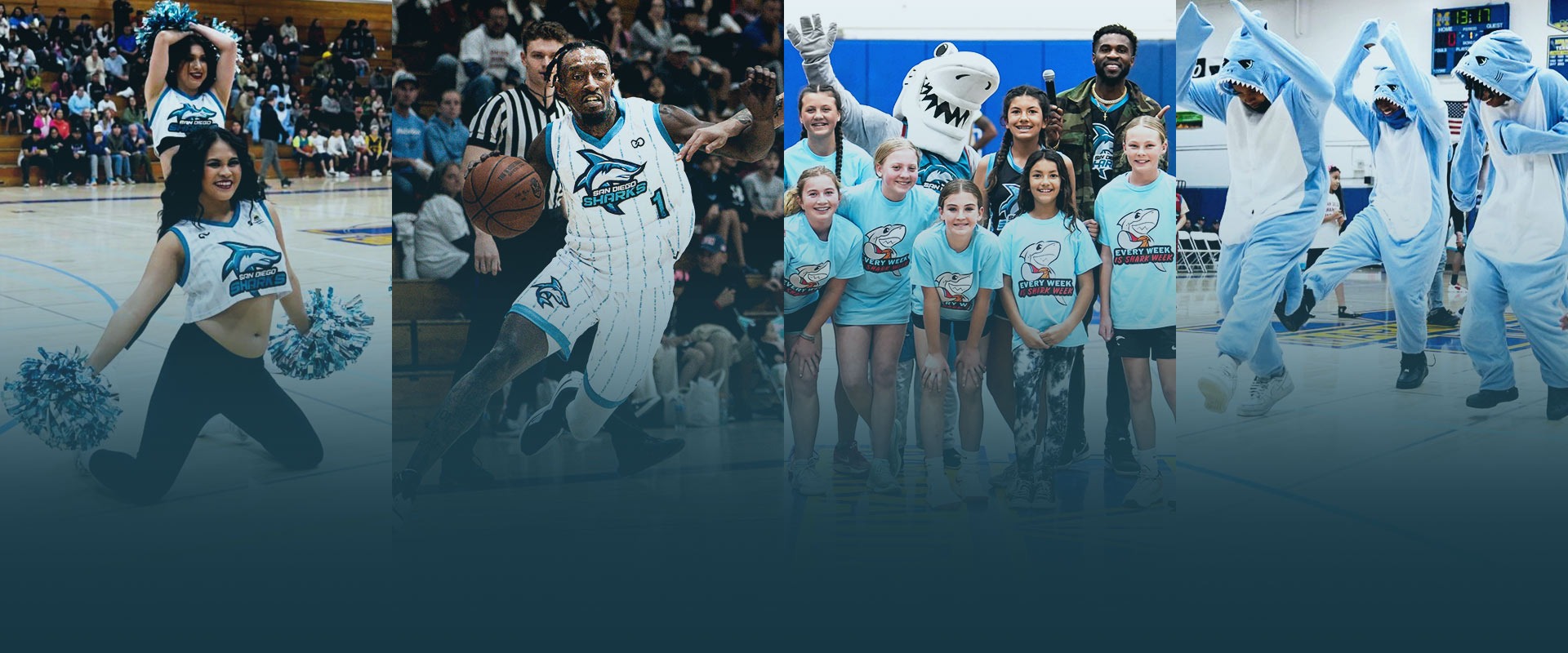Branding Archives - San Diego Sharks Basketball